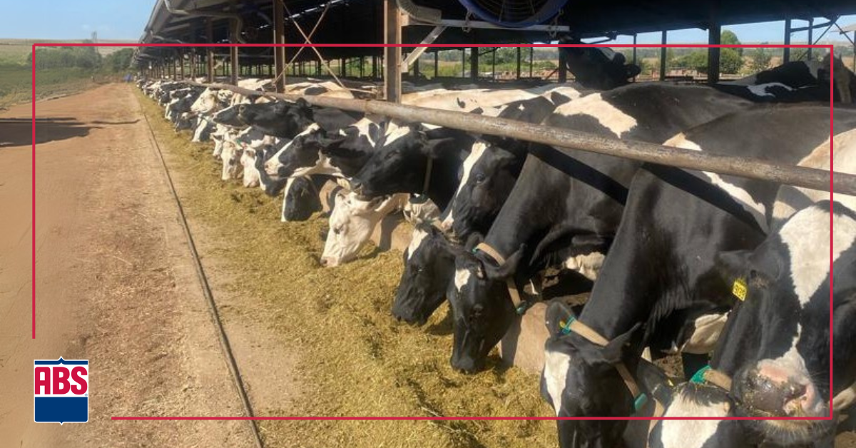 Sire Summary April 2025 - Genetic Evaluation Results - ABS South Africa