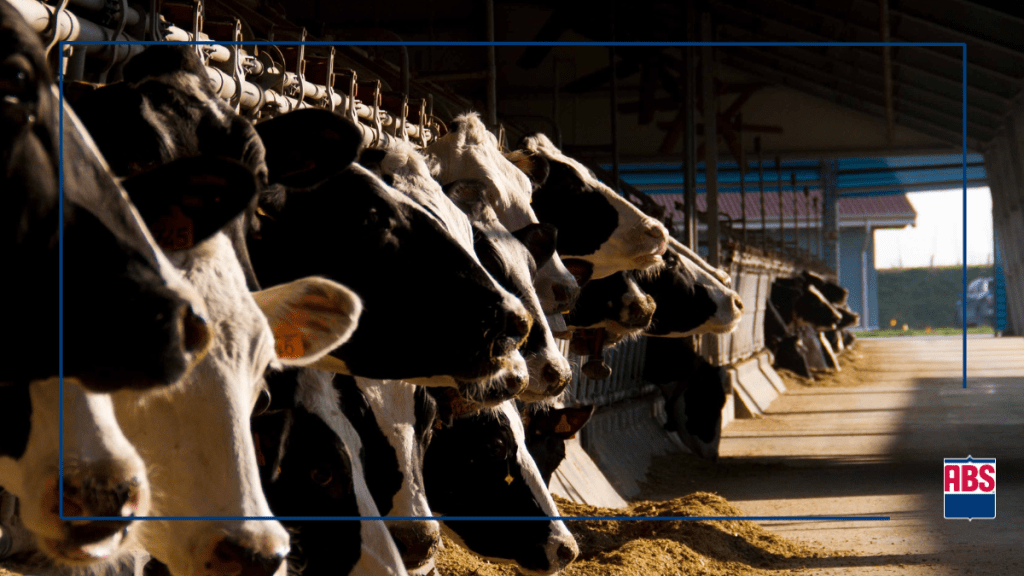 Genetic Diversity for YOUR South African Genetic Plan